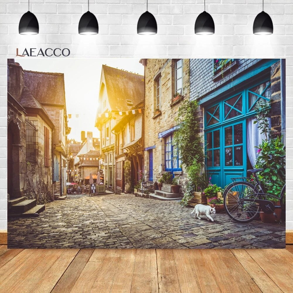 Italian Pastoral Town Street Backdrop Tourist Plant Flowers Gravel Kid ...