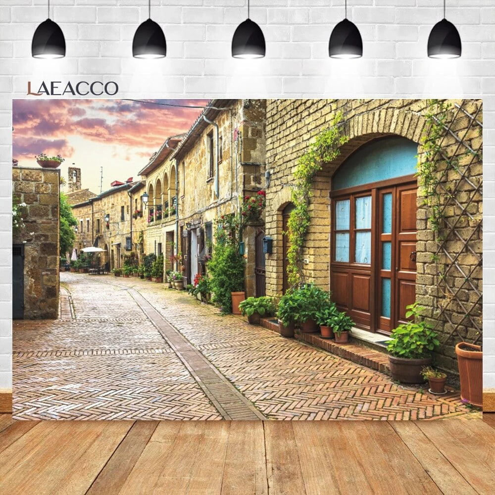 Italian Pastoral Town Street Backdrop Tourist Plant Flowers Gravel Kid ...