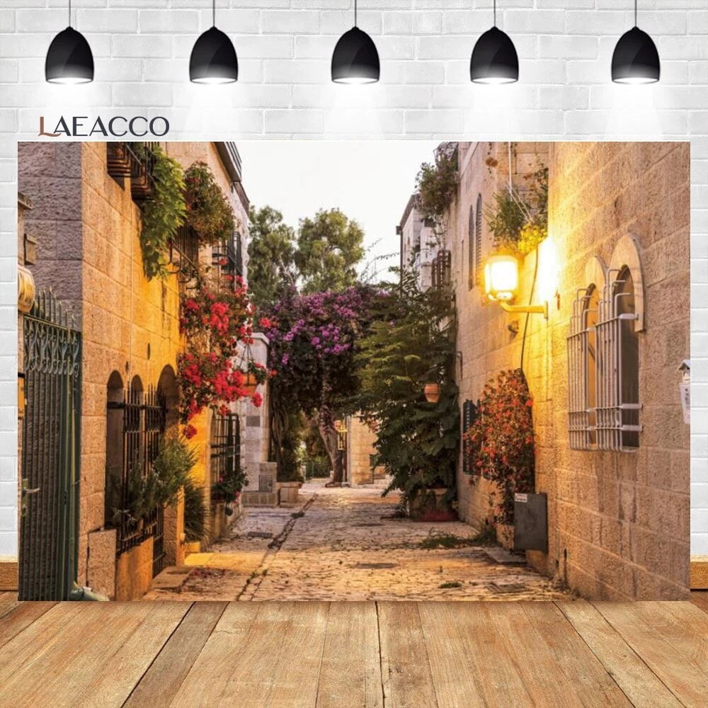 Italian Pastoral Town Street Backdrop Tourist Plant Flowers Gravel Kid ...