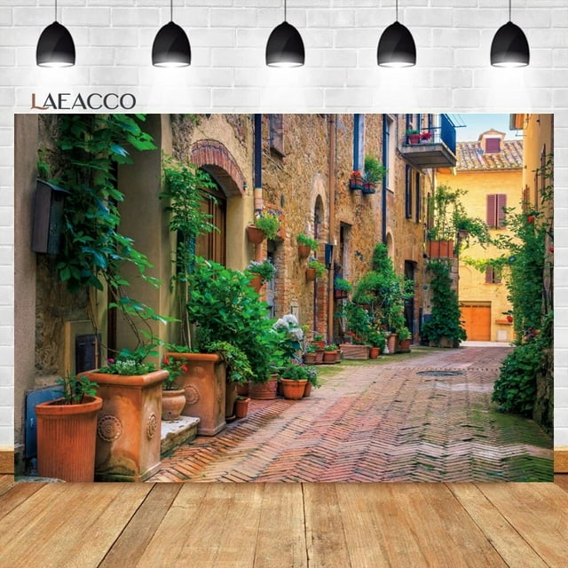 Italian Pastoral Town Street Backdrop Tourist Plant Flowers Gravel Kid ...