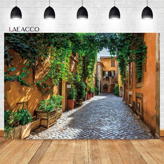 Italian Pastoral Town Street Backdrop Tourist Plant Flowers Gravel Kid ...