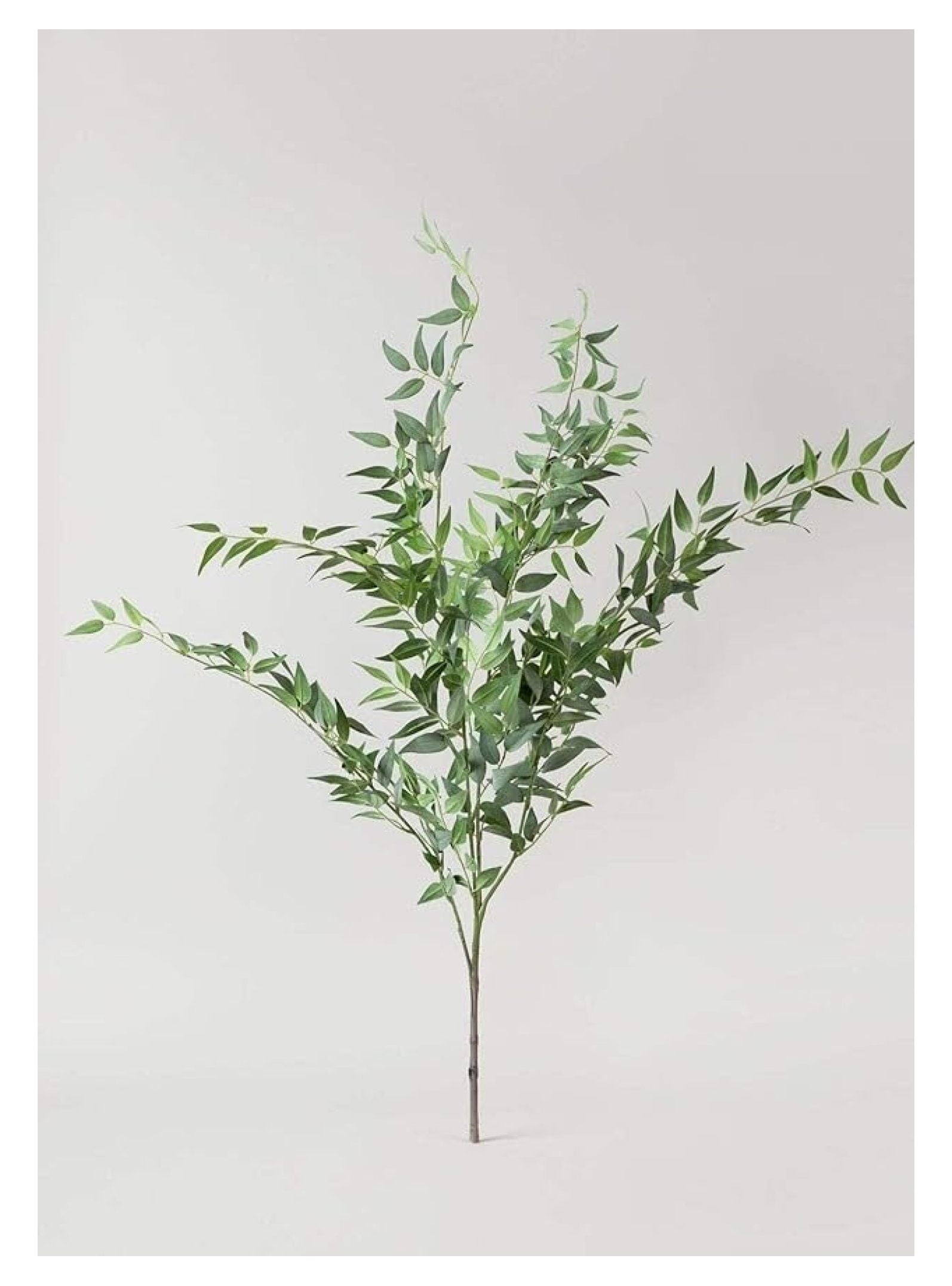 Italian Ruscus Spray - 46" Artificial Greenery - Faux Leaves for Floral ...