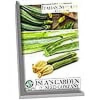 Italian Striped Zucchini Summer Squash Seeds - 50+ Non-GMO Heirloom ...