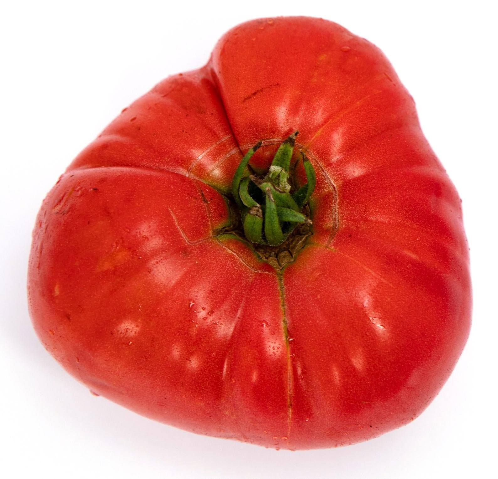 Italian Tree Tomato Heirloom Premium Seeds for Planting - Walmart.com