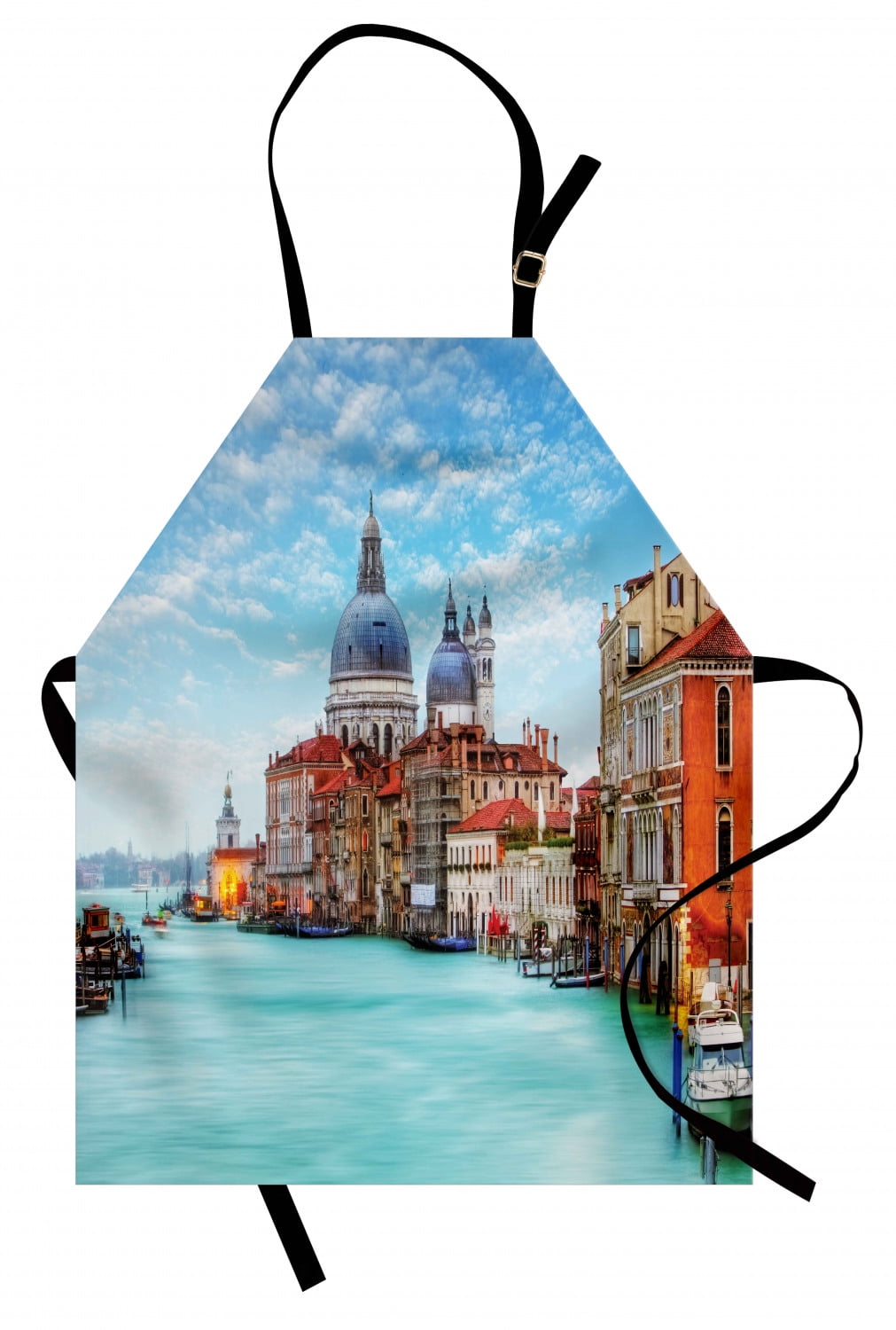 Italy Apron Grand Canal and Basilica Santa Maria della Salute ...