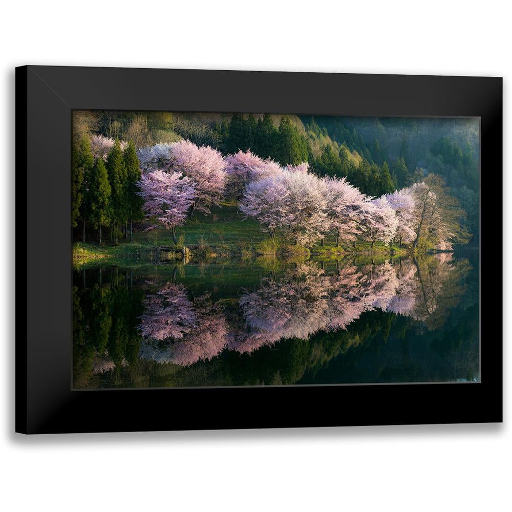 Ito, Tatsuki 18x13 Black Modern Framed Museum Art Print Titled - Sakura - Walmart.com
