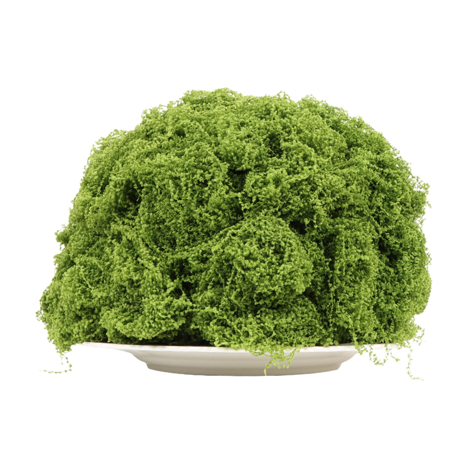 Iumwxz 100g Realistic Plastic Artificial Moss with Lichen DIY ...