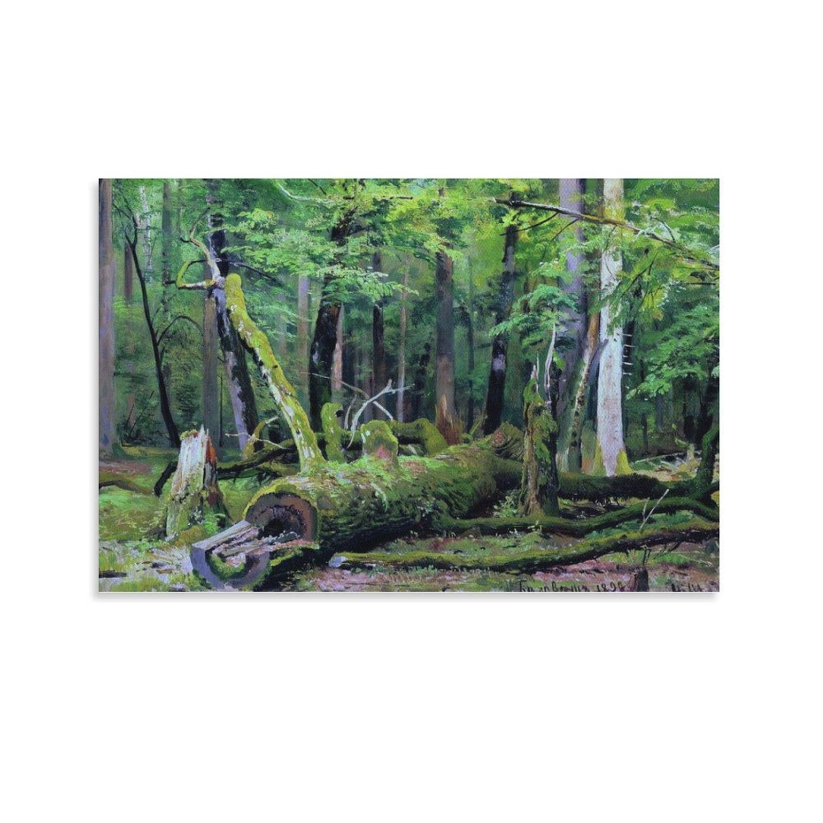 Ivan Shishkin Poster Cut Down Oak in The Bialowiezka Forest Canvas Art ...