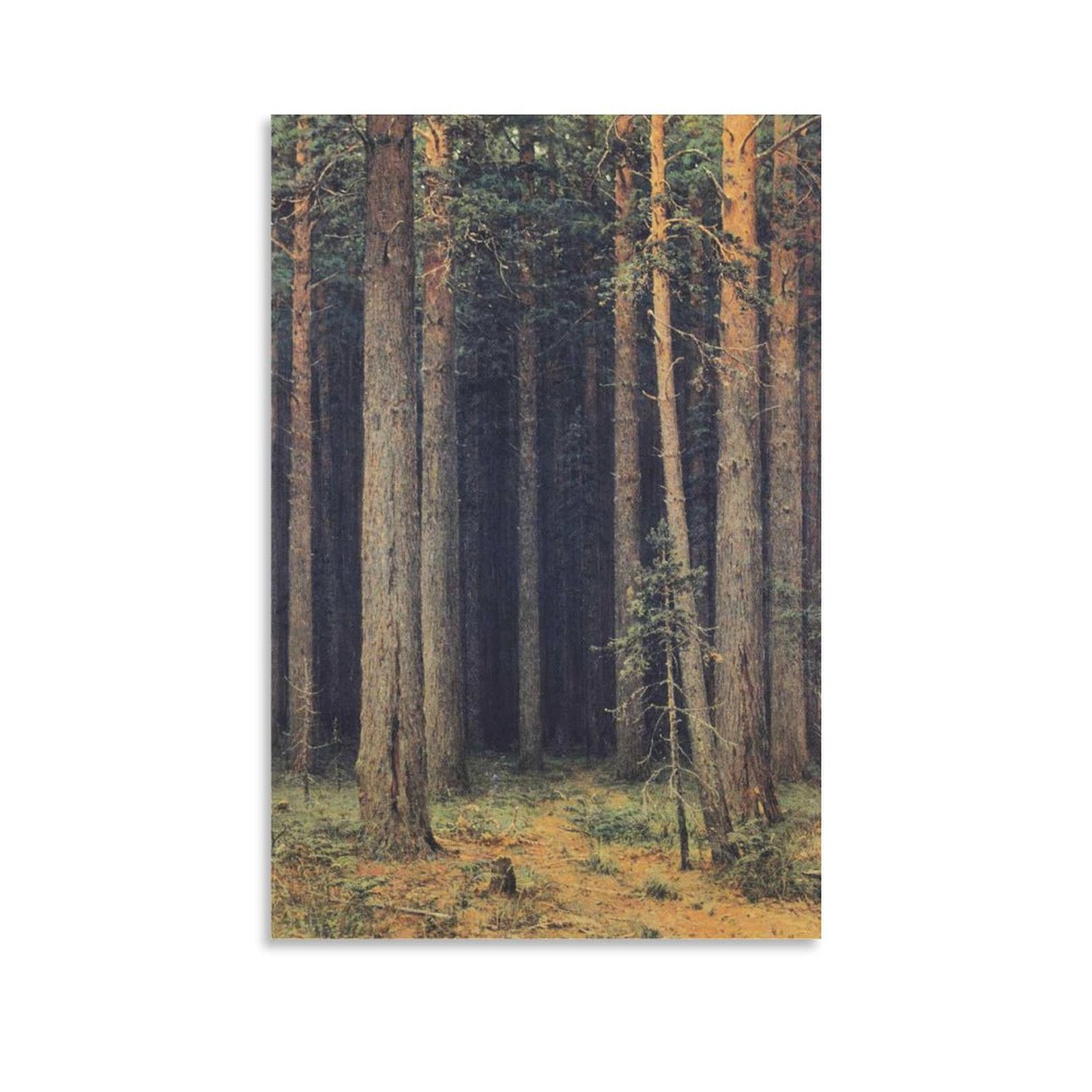 Ivan Shishkin Poster Forest Reserve. Pine Grove Print Photo Art ...