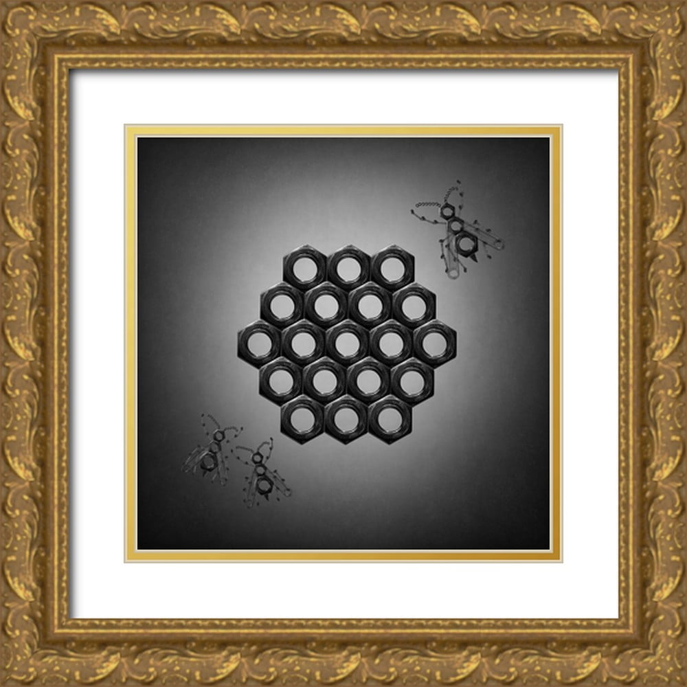 Ivanova, Victoria 26x26 Gold Ornate Wood Framed with Double Matting ...