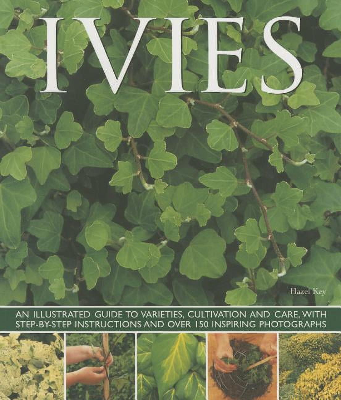 Ivies