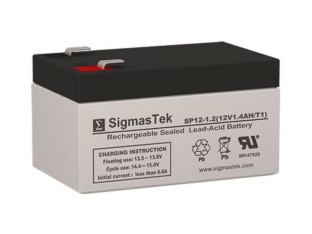 Ivy Biomedical Systems 504 Recorder Medical Battery Set - Walmart.com