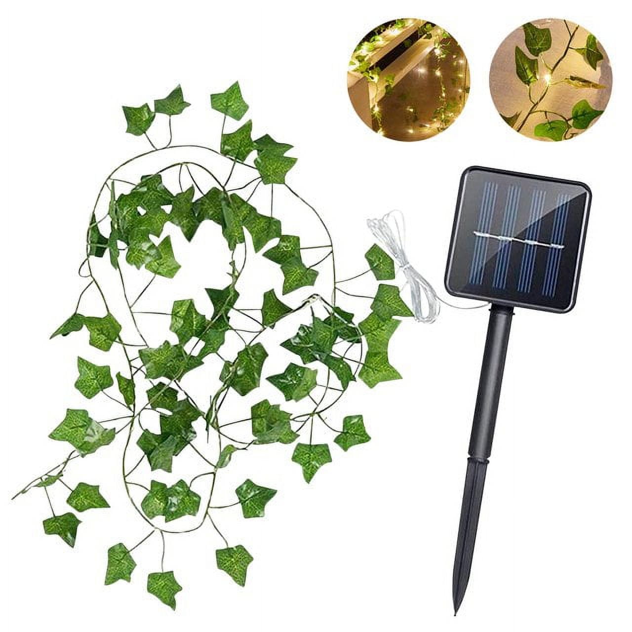 yoglam Solar-Powered Waterproof Fairy Night Lights, 10m 100 LED Ivy ...