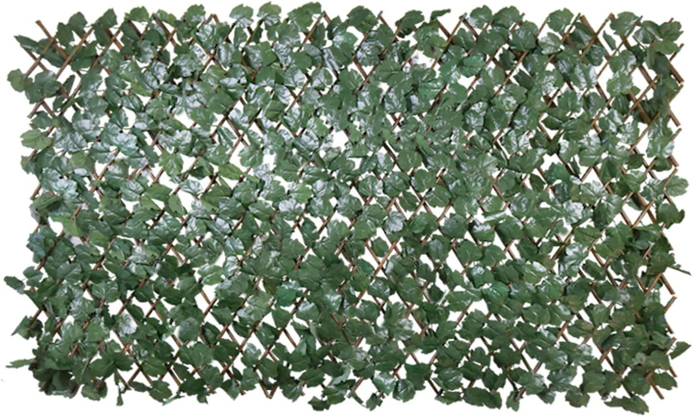 Ivy Leaf Privacy Fence Screen for Outdoor Indoor Backyard Patio Balcony ...