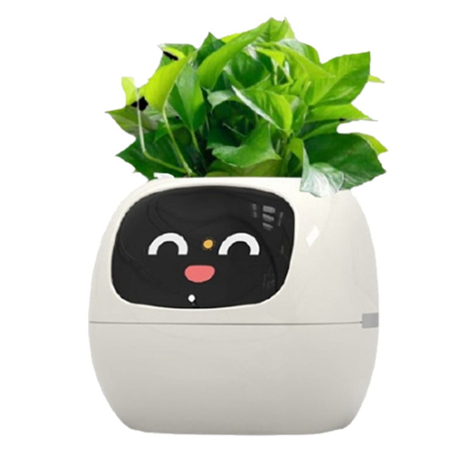 Ivy Smart Planter,USB Rechargeable Indoor Small Flower Pot for Indoor ...
