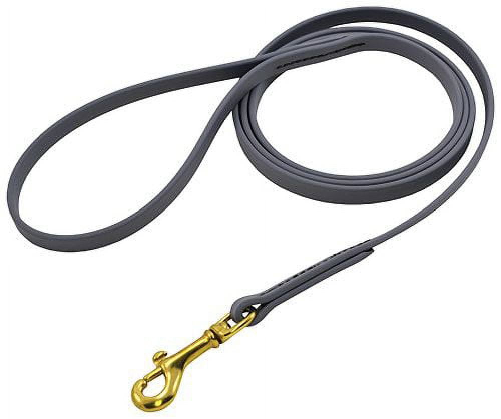 J&J Gray Biothane Dog Leash, 3/4-Inch Wide by 6 Feet Long - Walmart.com
