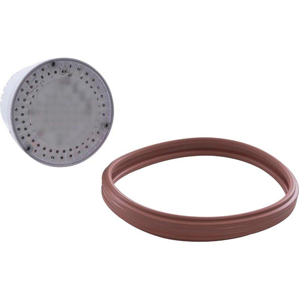 J&J Electronics PureWhite 2 LED 12V, 36W Inground Pool and Spa Light ...