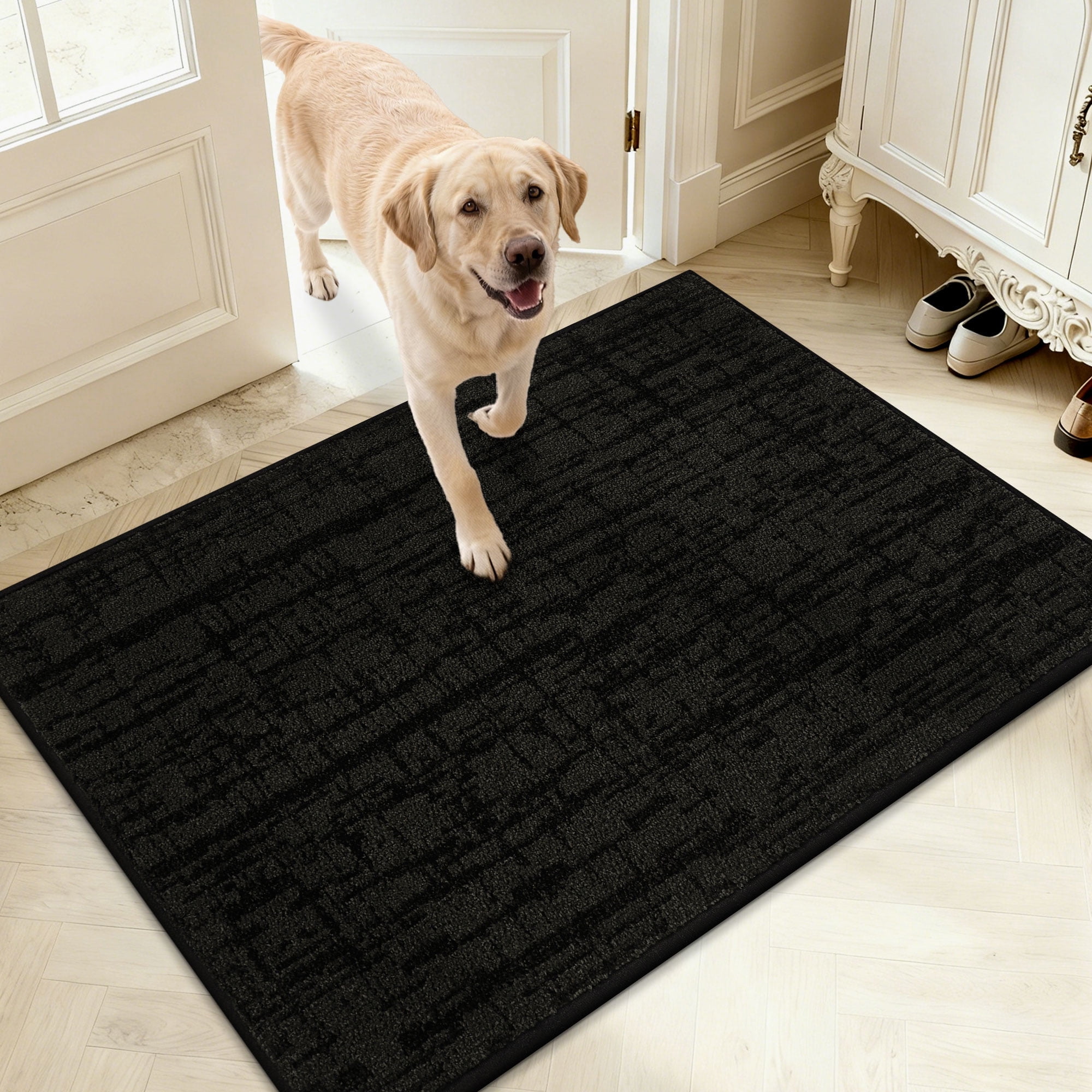 JAATOP Doormat for Inside 32"x 48", Door Rug for Entryway Indoor ...