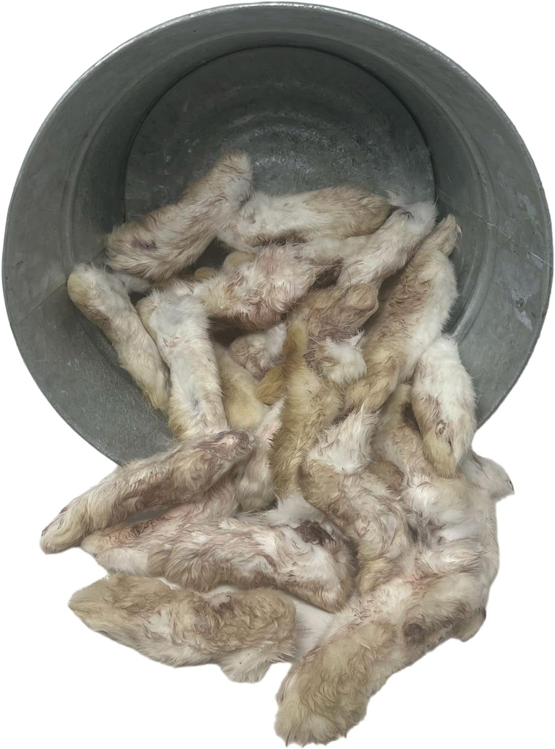 JACK'S PREMIUM Rabbit Feet - Dehydrated Dog and Cat Chews - Whole Back ...