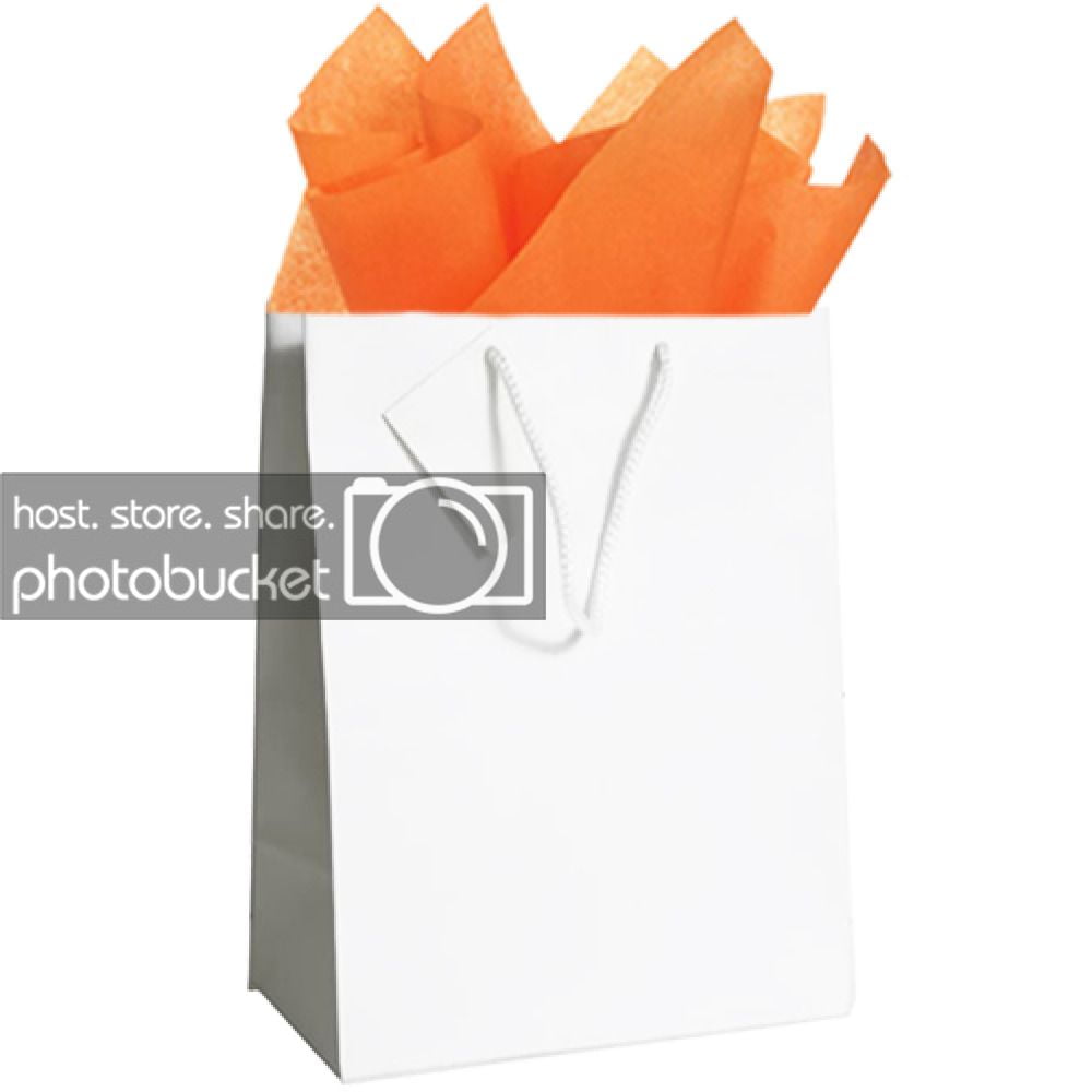 JAM Gift Bag Assortment, 2 White Bags & Orange Tissue Paper, 3/Pack ...