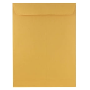 Manilla Envelopes 9 X 12