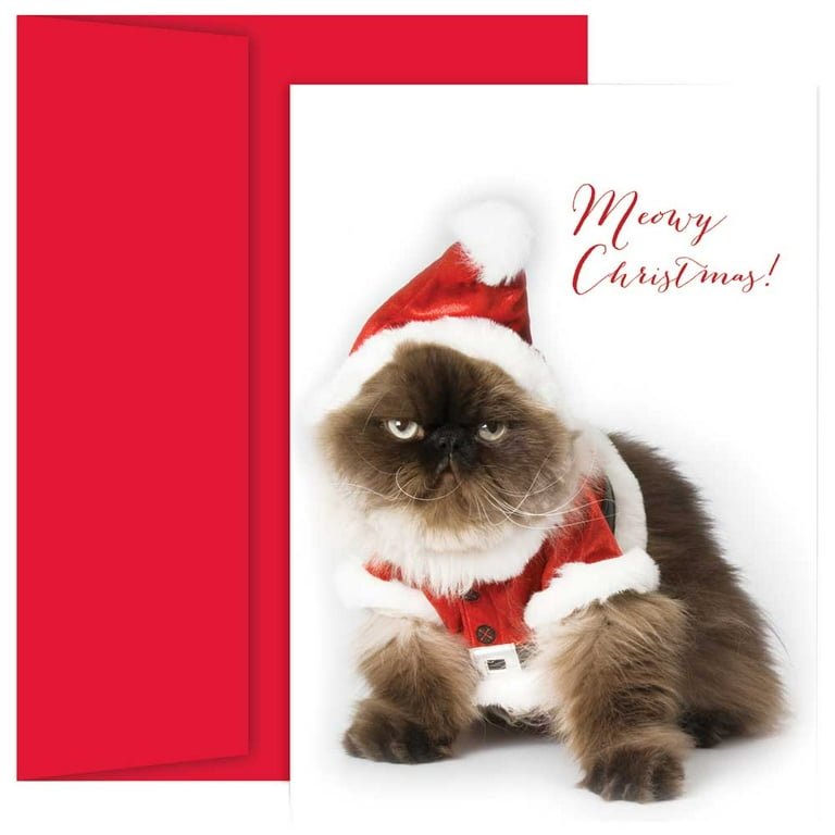 Grumpy Cat Christmas Cards