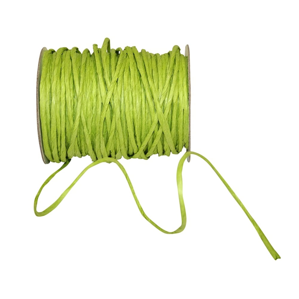 JAM Paper Citrus Green Raffia Ribbon, 1/8 in x 100 yd, 1/Pack - Walmart.com