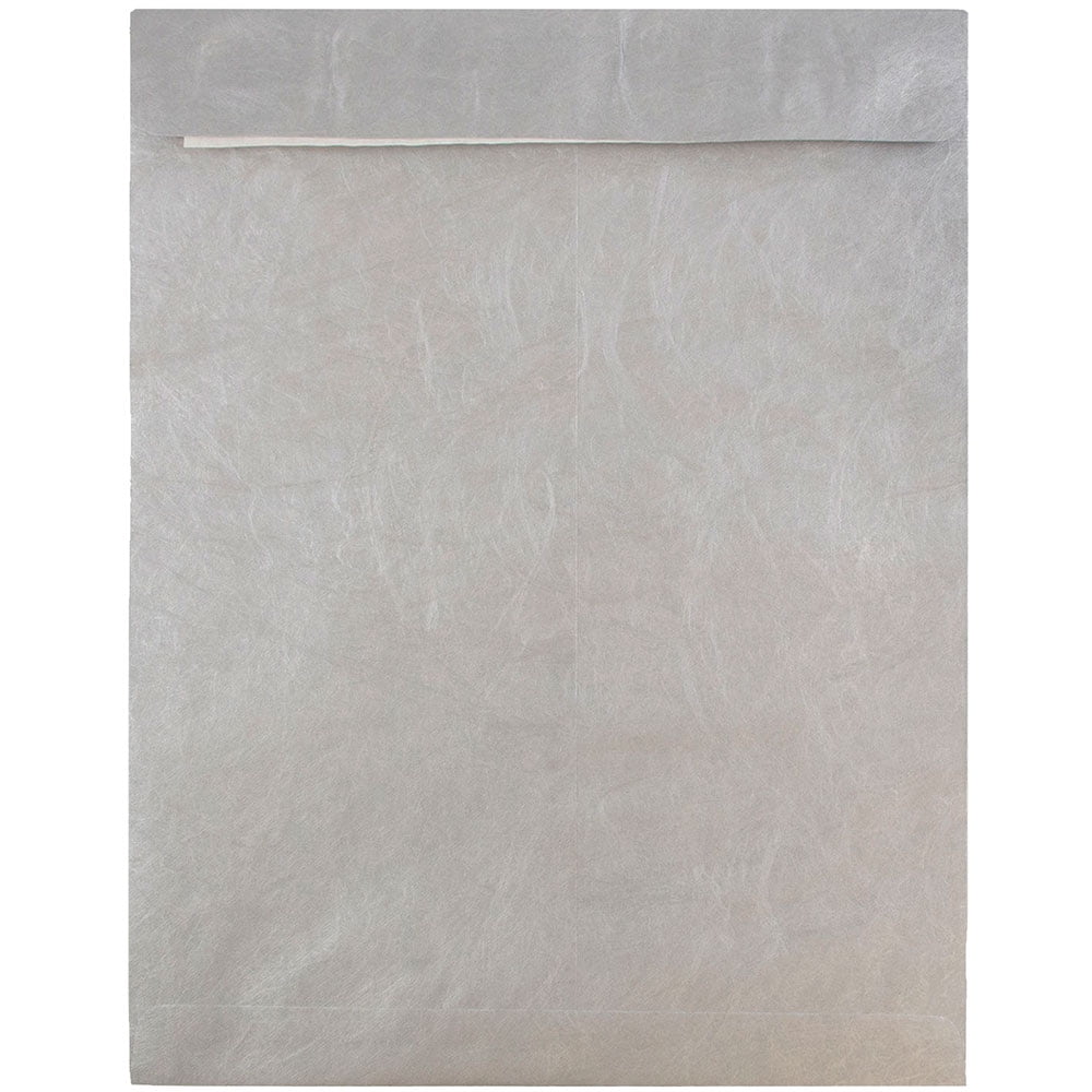 JAM Paper & Envelope 10 x 13 Tyvek Envelopes, Silver, 10/Pack - Walmart.com