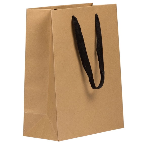 JAM Paper Matte Gift Bag, All Occasion, 10 x 13 x 5, 1/Pack, Natural ...