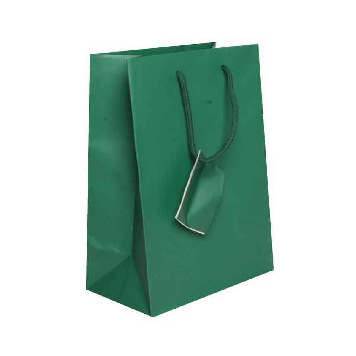 JAM Paper Matte Gift Bags, 8 x 10 x 4, Green, 100/Pack, Medium ...