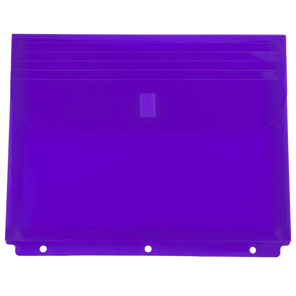 JAM Paper Plastic 3 Hole Punch Envelopes, 9 1/2 x 11 1/2, Purple, 12 ...