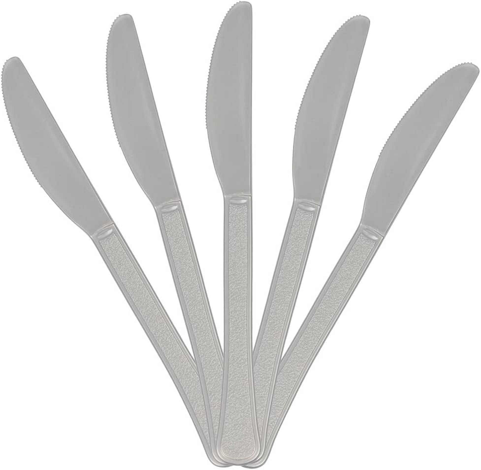 JAM Paper Plastic Knives, Silver, 48 Disposable Knives/Pack - Walmart.com