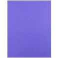 JAM Paper Translucent Vellum Cardstock, 12.5" x 18", 43 lb Primary Blue ...