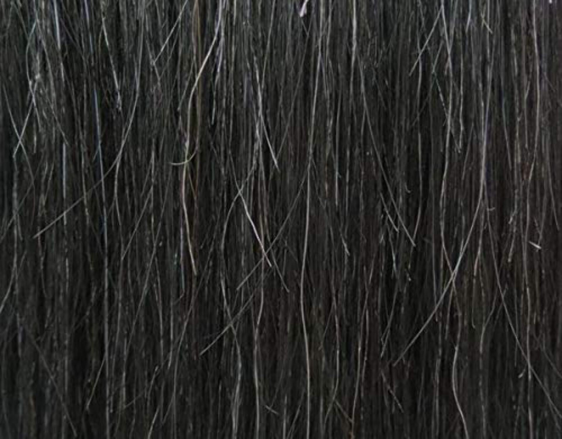 JANET - PIXIE CUT 38PCS + 8" 1PACK SOLUTION (HUMAN) - Walmart.com