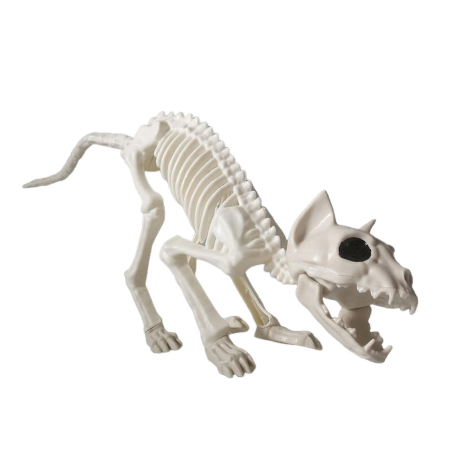 JANGSLNG Animal Skeleton Model Halloween Decoration Crow Spider Lizard ...