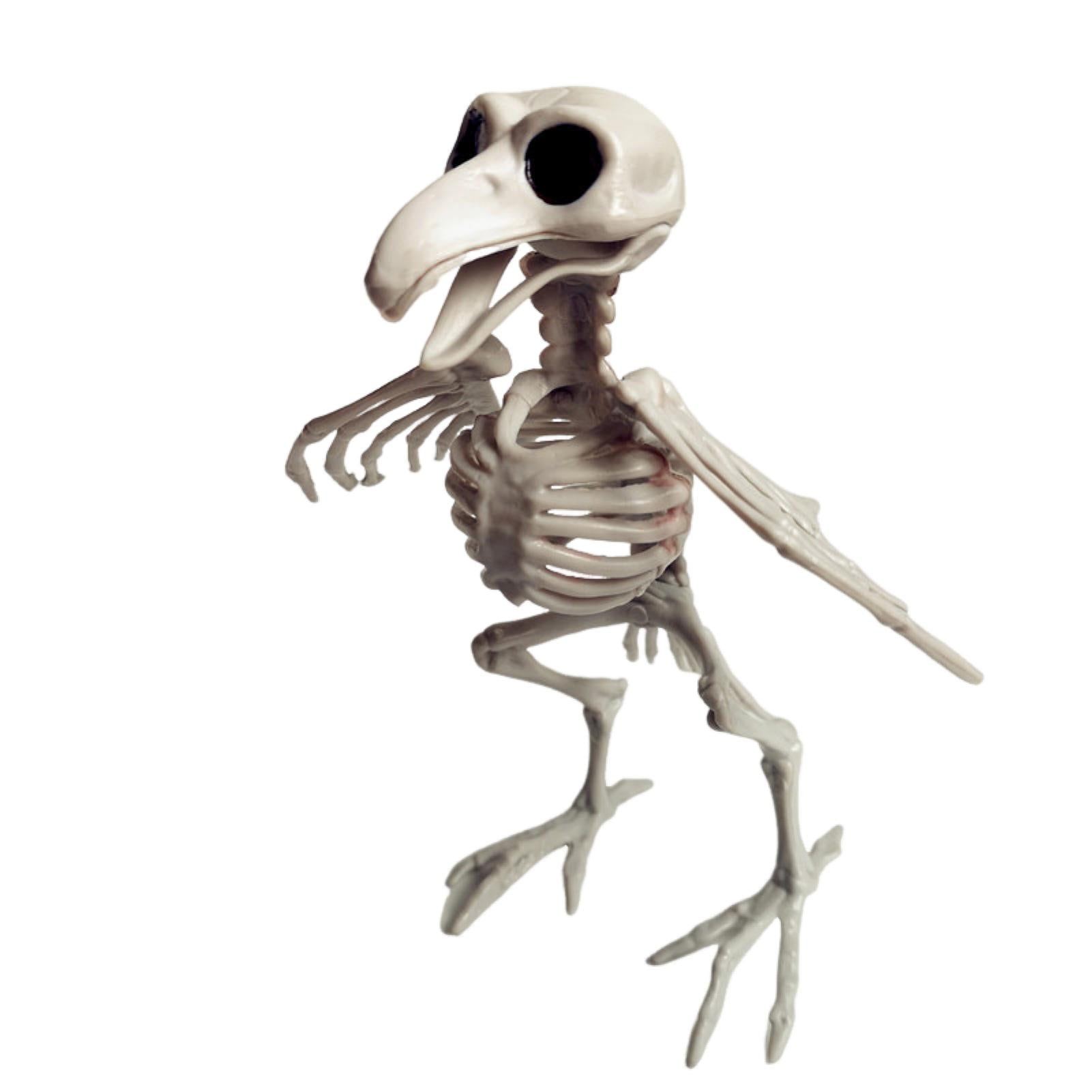 JANGSLNG Animal Skeleton Model Halloween Decoration Crow Spider Lizard ...