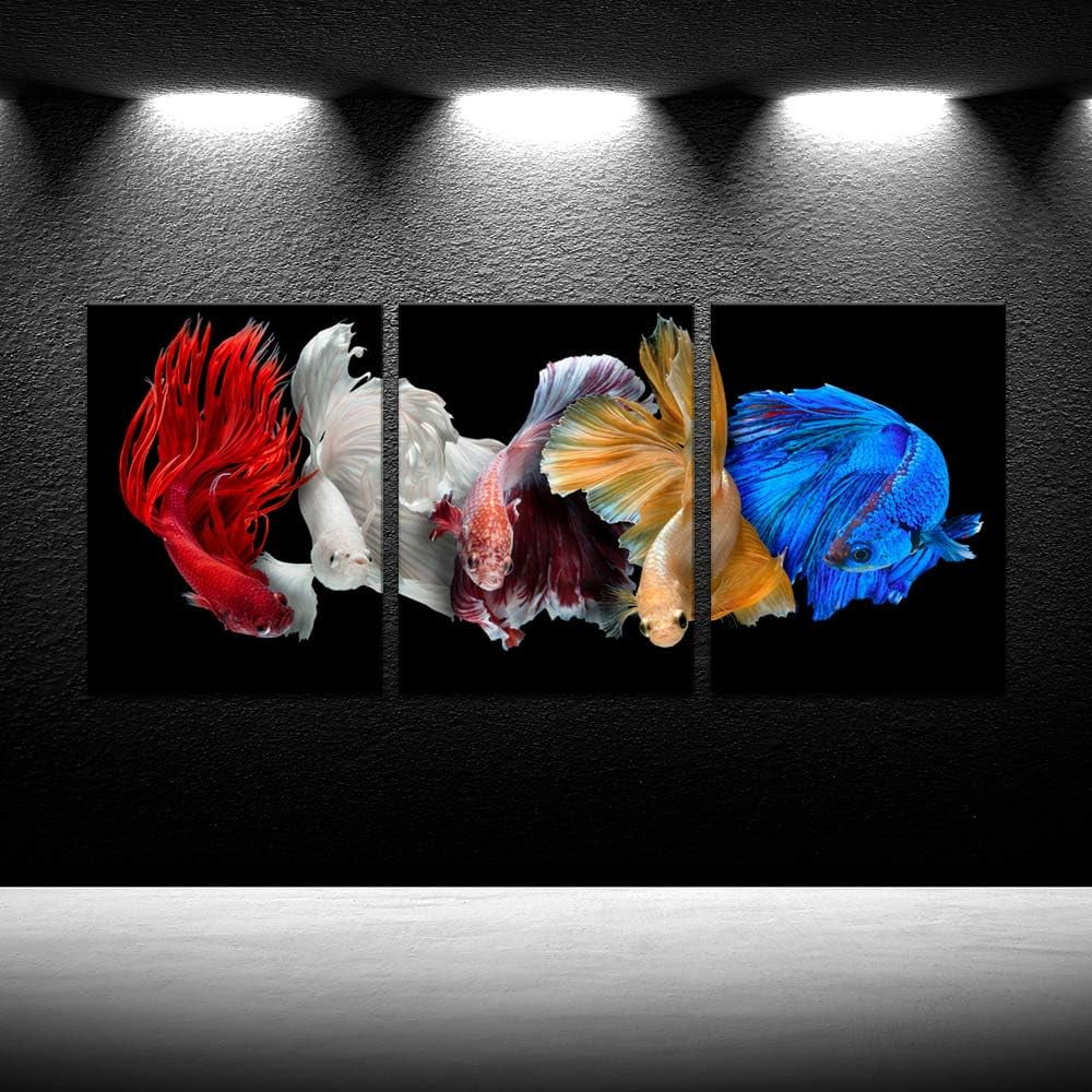 JANS.NO1 Five Betta Fish Canvas Prints Siamese Fighting Fish isolated ...