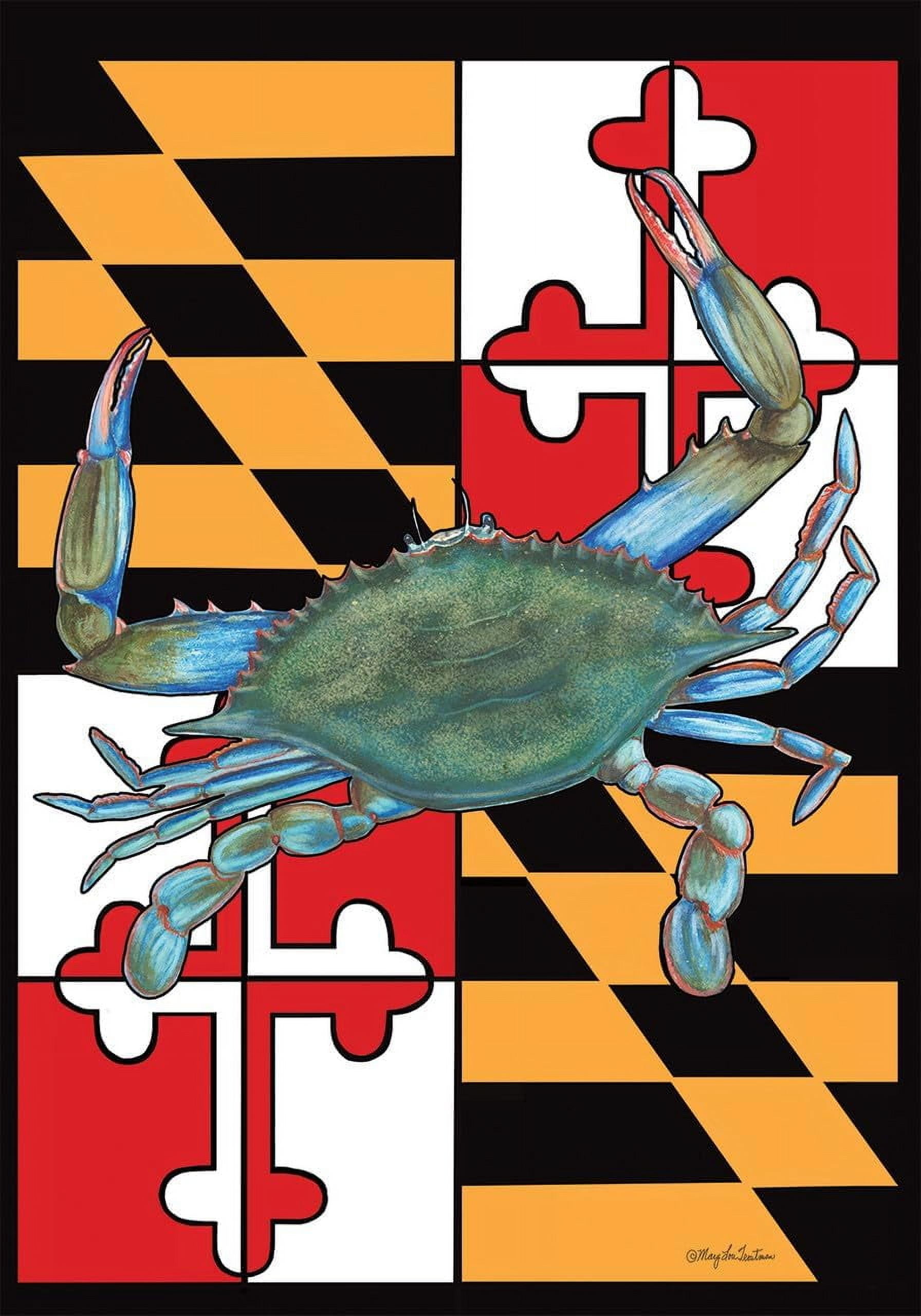 JANS.NO1 House Flag For Outdoor Maryland Summer For Summer House Flag ...