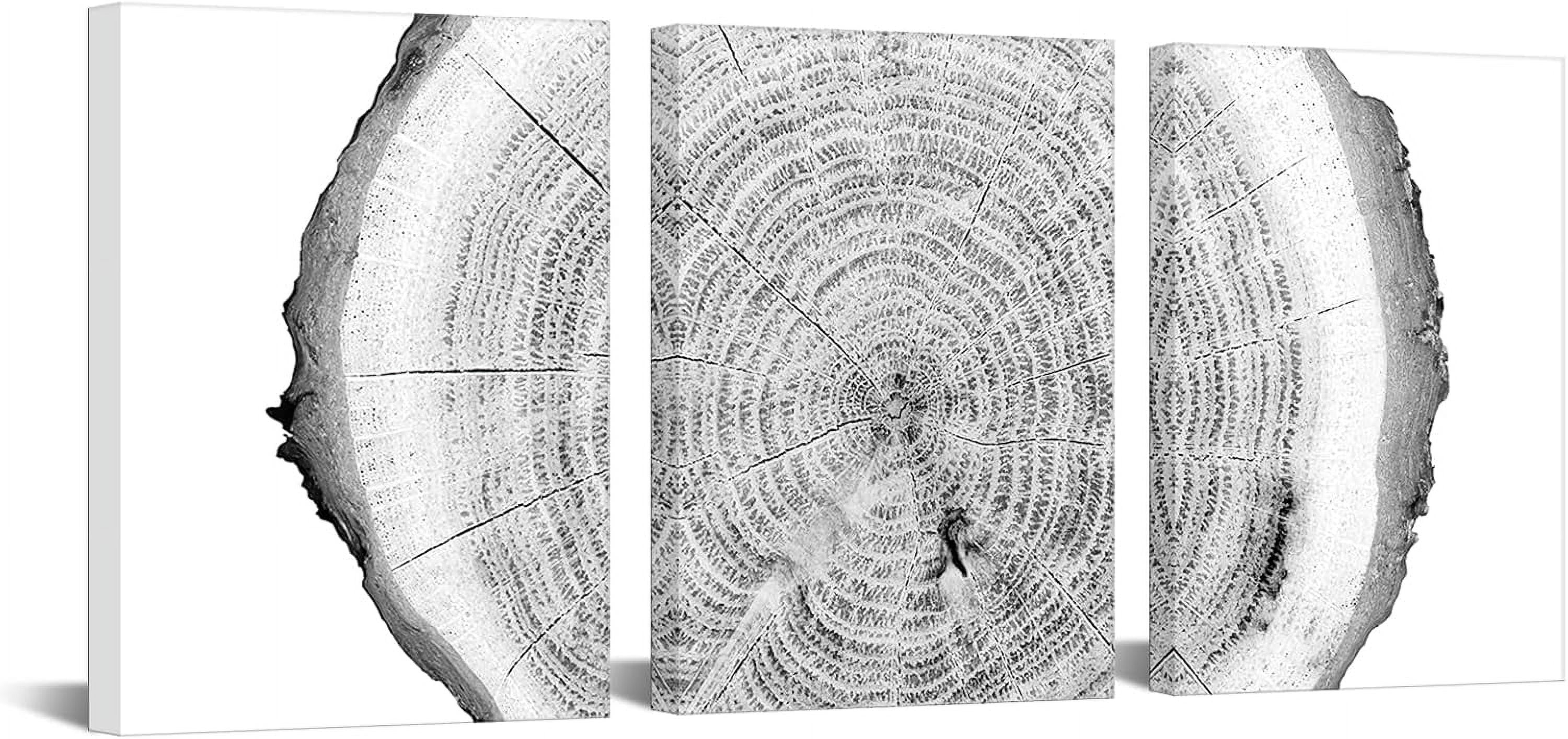 JANS.NO1 Set of 3 Tree Ring Wall Art Canvas Prints - Black, Grey, and ...