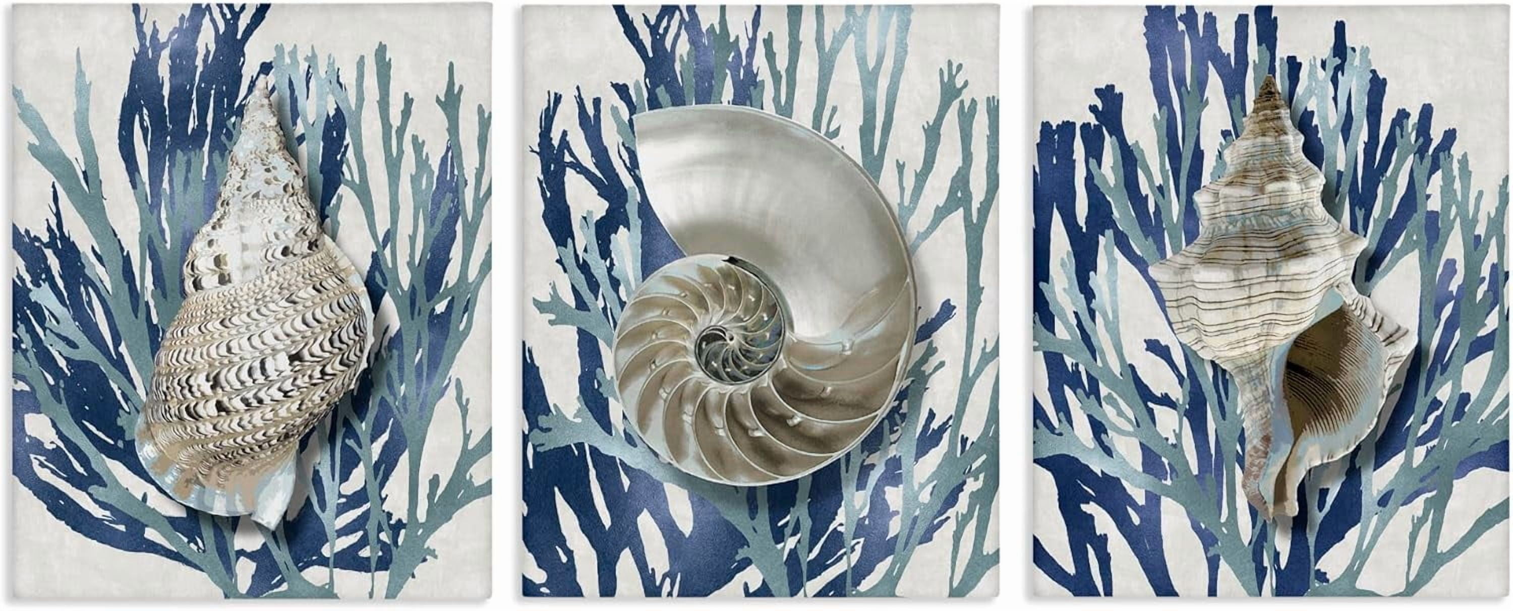 JANS.NO1 Trio of Shell Coral Blue Beach Design, Designed by Caroline ...