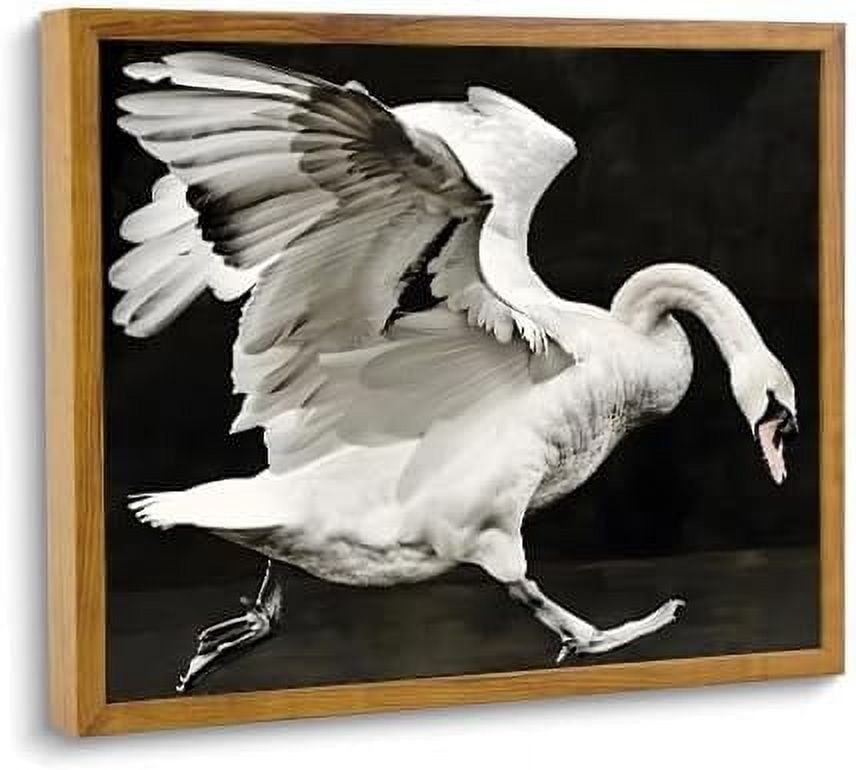 JANS.NO1 ZIO Black Cat JANS.NO1 Oil Painting Wall ,Water Lily Blue Cute ...