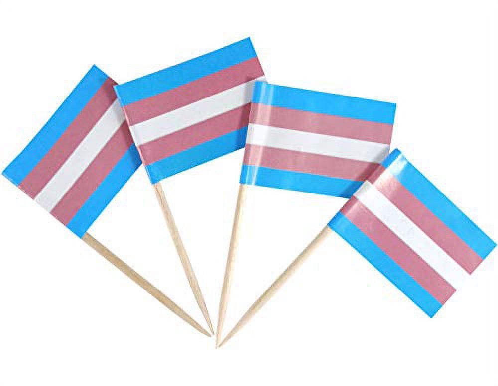 JBCD 200 Pcs Transgender Rainbow Flag Toothpicks Trans Pride LGBT Gay ...