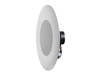 JBL Commercial Series CSS8008 - Speaker - 20 Watt - Walmart Business ...