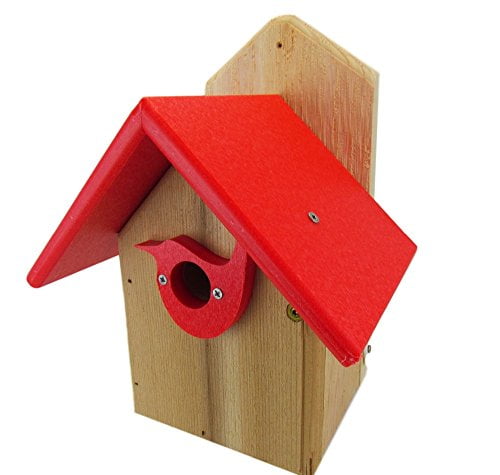 JCS Wildlife Post Mount Cedar Wren House w Poly Roof & Birdhouse ...
