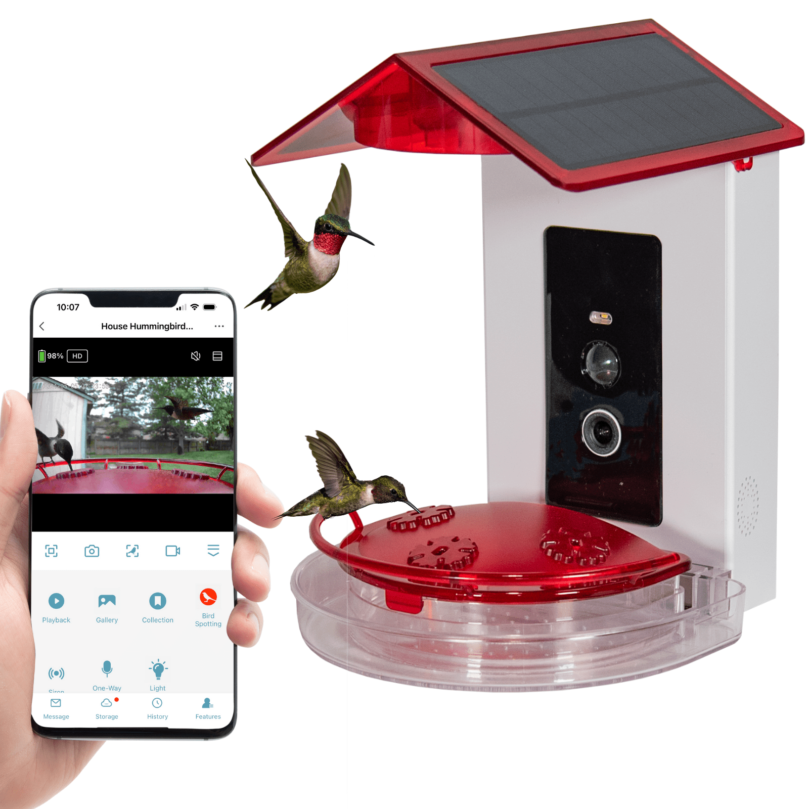 JCs Wildlife, Hummingbird Feeder, Smart 2-in-1, Solar-Powered Camera ...