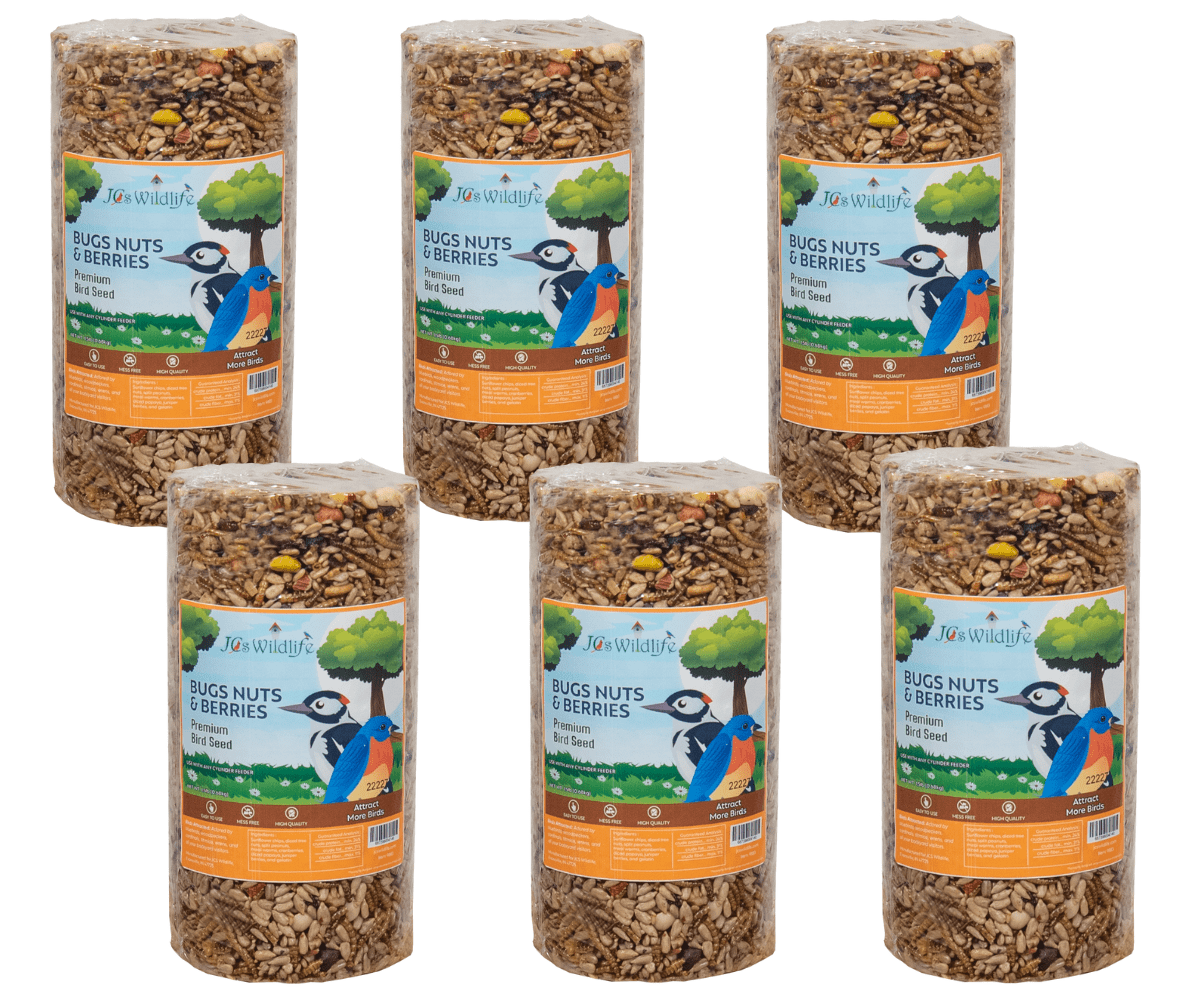 JCs Wildlife Bugs, Nuts and Berries Premium Bird Seed Small Cylinder, 1 ...