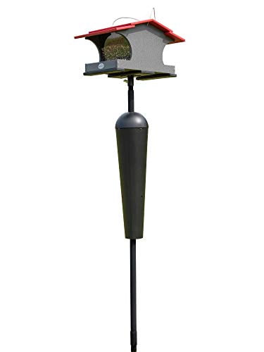 JCs Wildlife Large Poly Hopper Bird Feeder and Denali Squirrel Proof ...