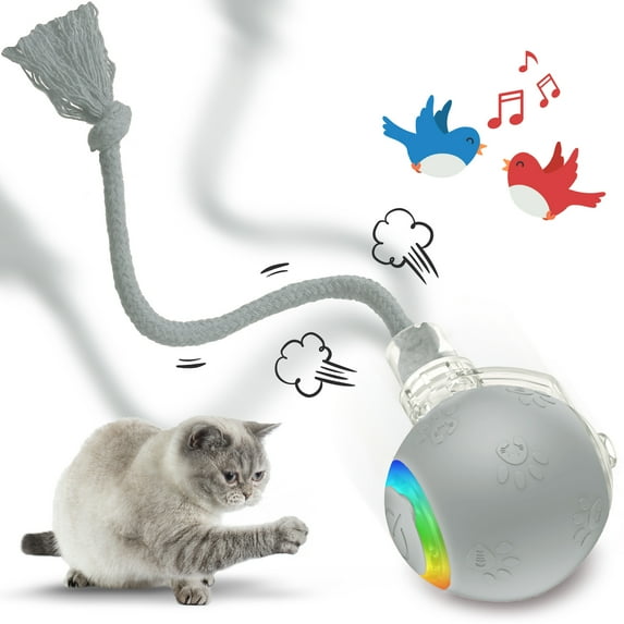 JDMEOPD Speed 2.0 Tail Interactive Cat Toys for Indoor Cats – Smart ...