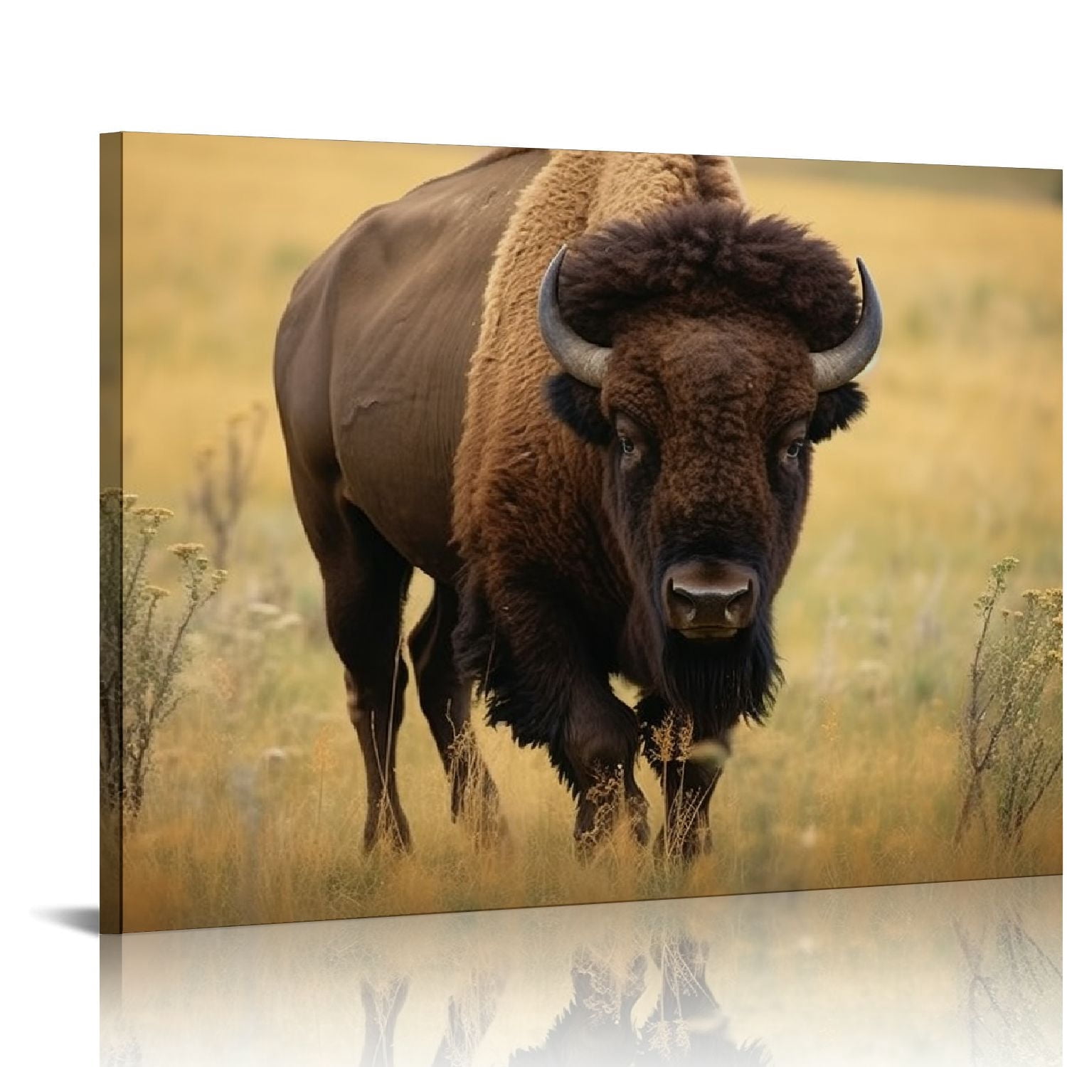 JEUXUS American Buffalo Bison Canvas Art Print Wall Decor - 20x16 inch ...