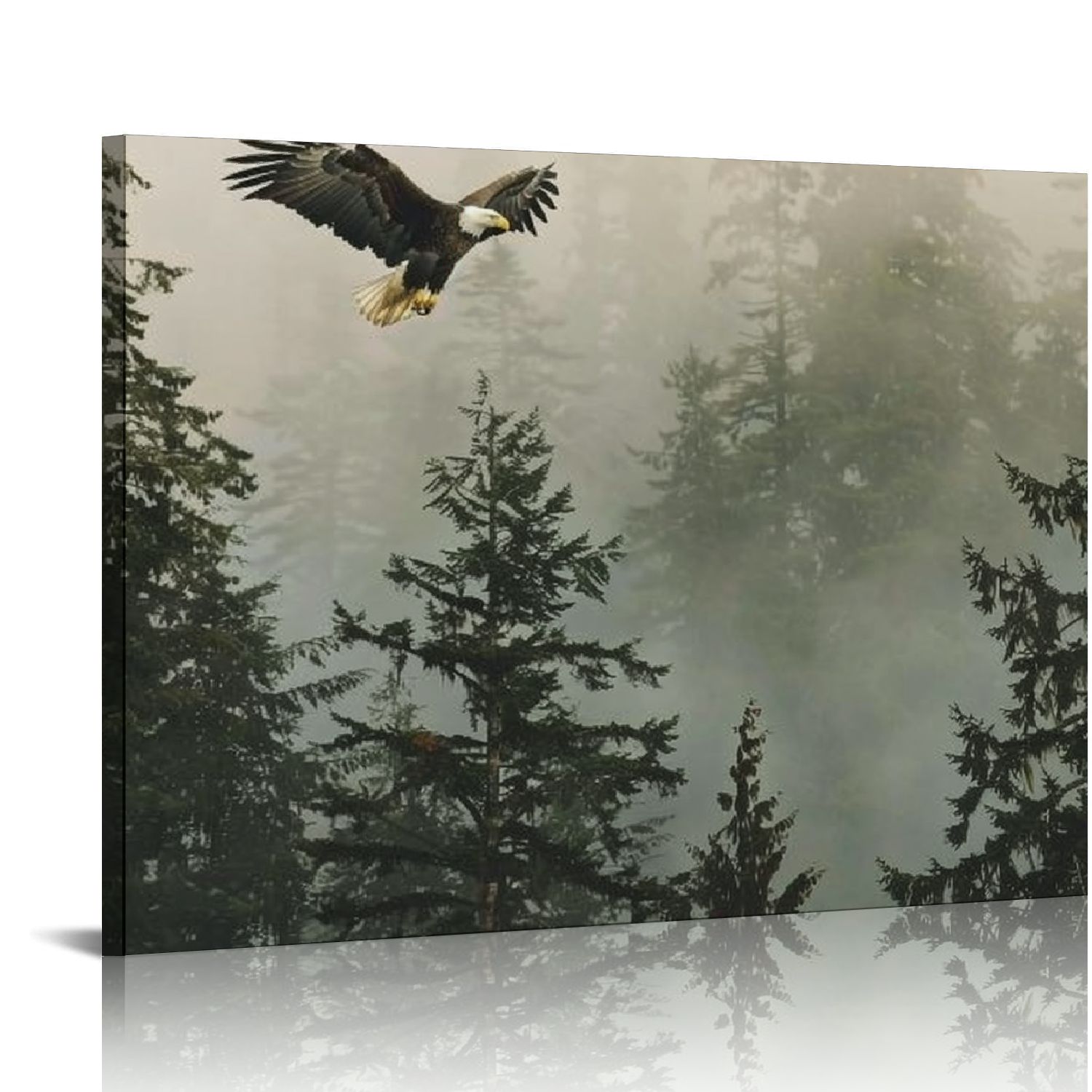 JEUXUS Bald Eagle Decor Wall Art Forest Pictures Wall Decor Eagle ...